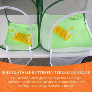 Monarch Butterfly Life Soft Silicone Small Poo Poo Platter | 14”L x 14”W x .5”H | Fitted Caterpillar Cage Liner | Easy Cleaning Tray for Baby Cube and Tall Baby Butterfly Habitat