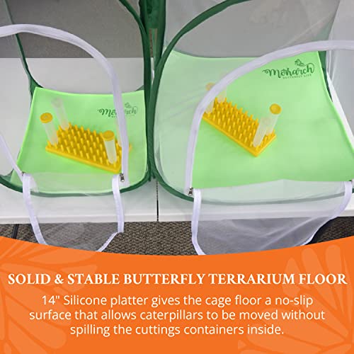 Monarch Butterfly Life Soft Silicone Small Poo Poo Platter | 14”L x 14”W x .5”H | Fitted Caterpillar Cage Liner | Easy Cleaning Tray for Baby Cube and Tall Baby Butterfly Habitat