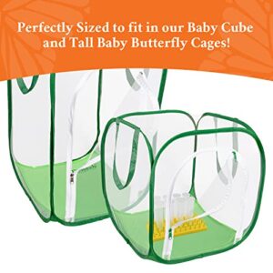 Monarch Butterfly Life Soft Silicone Small Poo Poo Platter | 14”L x 14”W x .5”H | Fitted Caterpillar Cage Liner | Easy Cleaning Tray for Baby Cube and Tall Baby Butterfly Habitat