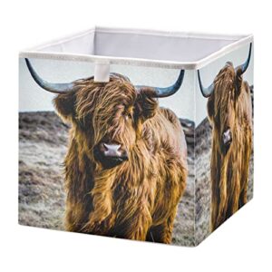 kigai cool highland cow storage bin closet organizers collapsible toy storage rectangular for home organization shelf store bins container, 15.7" x 11" x 7"