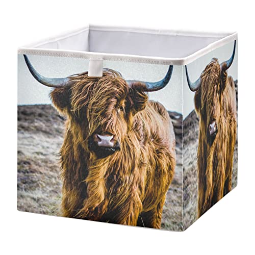 Kigai Cool Highland Cow Storage Bin Closet Organizers Collapsible Toy Storage Rectangular for Home Organization Shelf Store Bins Container, 15.7" x 11" x 7"