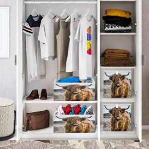 Kigai Cool Highland Cow Storage Bin Closet Organizers Collapsible Toy Storage Rectangular for Home Organization Shelf Store Bins Container, 15.7" x 11" x 7"