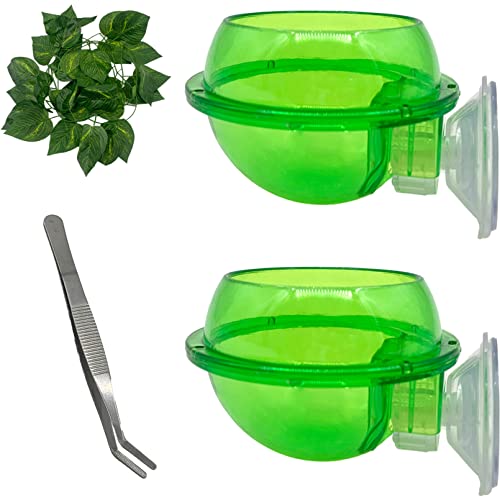 MUYG Chameleon Feeding Bowl with Suction Cup,Reptiles Feeder Water Bowls Anti-Escape Worm Live Fodder Translucent Container Ledge Dish Supplies for Lizard Bearded Dragon Gecko Snake(4Pcs)