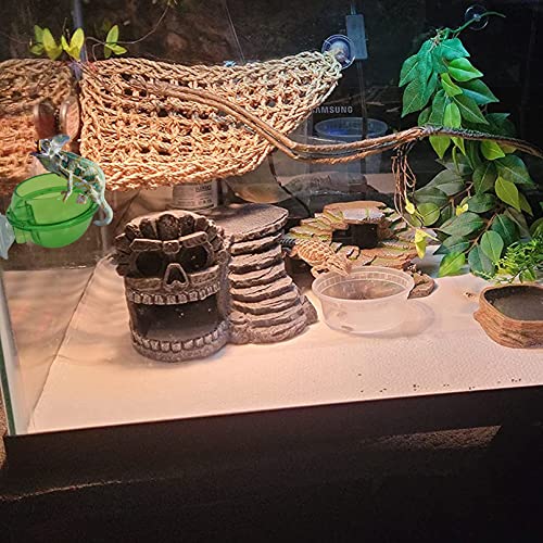 MUYG Chameleon Feeding Bowl with Suction Cup,Reptiles Feeder Water Bowls Anti-Escape Worm Live Fodder Translucent Container Ledge Dish Supplies for Lizard Bearded Dragon Gecko Snake(4Pcs)