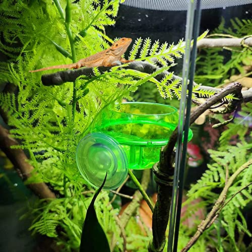 MUYG Chameleon Feeding Bowl with Suction Cup,Reptiles Feeder Water Bowls Anti-Escape Worm Live Fodder Translucent Container Ledge Dish Supplies for Lizard Bearded Dragon Gecko Snake(4Pcs)