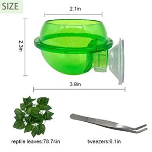 MUYG Chameleon Feeding Bowl with Suction Cup,Reptiles Feeder Water Bowls Anti-Escape Worm Live Fodder Translucent Container Ledge Dish Supplies for Lizard Bearded Dragon Gecko Snake(4Pcs)