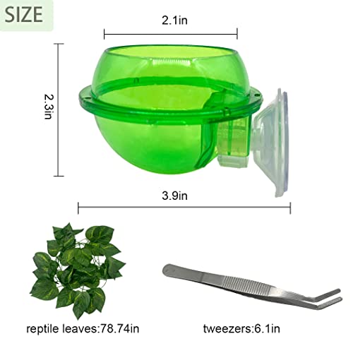 MUYG Chameleon Feeding Bowl with Suction Cup,Reptiles Feeder Water Bowls Anti-Escape Worm Live Fodder Translucent Container Ledge Dish Supplies for Lizard Bearded Dragon Gecko Snake(4Pcs)