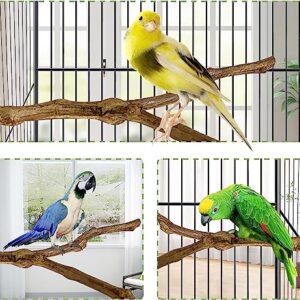 kathson Natural Parrot Perch Bird Stand Pole Wild Grape Stick Paw Grinding Fork Parakeet Climbing Standing Branches Toy Chewable Cage Accessories for Small Budgies Cockatiels Lovebirds 4PCS