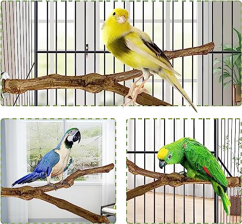 kathson Natural Parrot Perch Bird Stand Pole Wild Grape Stick Paw Grinding Fork Parakeet Climbing Standing Branches Toy Chewable Cage Accessories for Small Budgies Cockatiels Lovebirds 4PCS