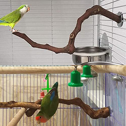 kathson Natural Parrot Perch Bird Stand Pole Wild Grape Stick Paw Grinding Fork Parakeet Climbing Standing Branches Toy Chewable Cage Accessories for Small Budgies Cockatiels Lovebirds 4PCS