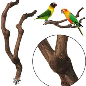 kathson Natural Parrot Perch Bird Stand Pole Wild Grape Stick Paw Grinding Fork Parakeet Climbing Standing Branches Toy Chewable Cage Accessories for Small Budgies Cockatiels Lovebirds 4PCS