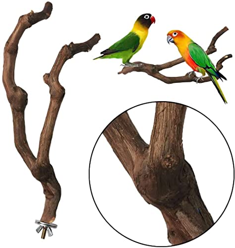 kathson Natural Parrot Perch Bird Stand Pole Wild Grape Stick Paw Grinding Fork Parakeet Climbing Standing Branches Toy Chewable Cage Accessories for Small Budgies Cockatiels Lovebirds 4PCS