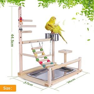 Joyeee Parrot Bird Playground, Wooden Pet Birds Stand Platform Perches Shelf Play Gym with Ladder Swing, Activity Center for Small Cockatoo Parakeet Macaw Budgies Finches Training Playing Biting#9