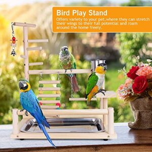 Joyeee Parrot Bird Playground, Wooden Pet Birds Stand Platform Perches Shelf Play Gym with Ladder Swing, Activity Center for Small Cockatoo Parakeet Macaw Budgies Finches Training Playing Biting#9