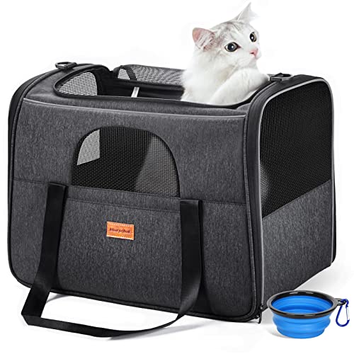 Dog Carrier Morpilot Cat Carrier Pet Travel Carrier Bag Airline Approved Folding Fabric Pet Carrier for Small Dogs Puppies Medium Cats, w/Locking Safety Zippers, Foldable Bowl, Gray