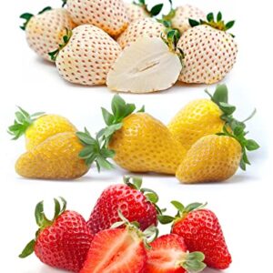 800+ Strawberry Seeds 400 White 300 Red and 100 Yellow Strawberry Seeds Mixed for Planting