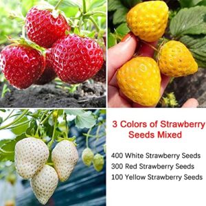 800+ Strawberry Seeds 400 White 300 Red and 100 Yellow Strawberry Seeds Mixed for Planting