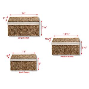 Set of 3 Rectangular Seagrass Baskets with Lids and Removable Fabric Liners by Trademark Innovations (Small)