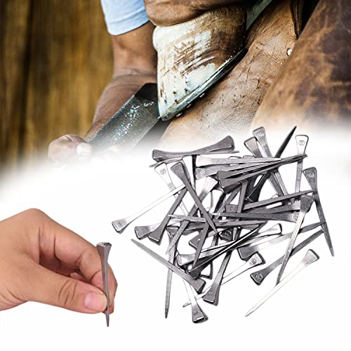 lukar 250pcs E5 Horseshoe Nails 2 Inch Stainless Steel Horse Shoe Nails Horse Hoof Nails