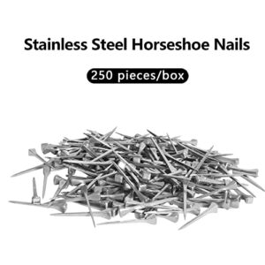 lukar 250pcs E5 Horseshoe Nails 2 Inch Stainless Steel Horse Shoe Nails Horse Hoof Nails