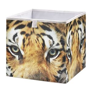 xigua tiger cube storage bin large collapsible storage basket toys clothes organizer box for shelf closet bedroom home office, 11 x 11 x 11 inch