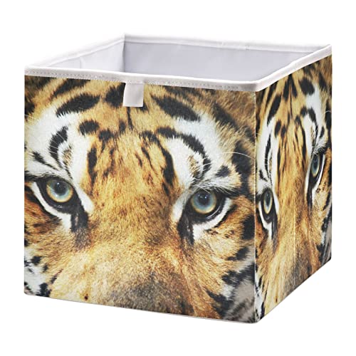 xigua Tiger Cube Storage Bin Large Collapsible Storage Basket Toys Clothes Organizer Box for Shelf Closet Bedroom Home Office, 11 x 11 x 11 Inch