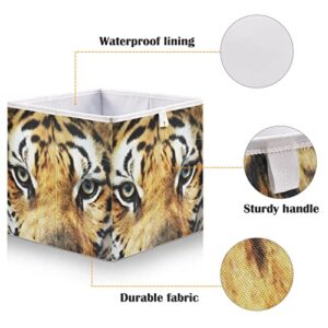 xigua Tiger Cube Storage Bin Large Collapsible Storage Basket Toys Clothes Organizer Box for Shelf Closet Bedroom Home Office, 11 x 11 x 11 Inch