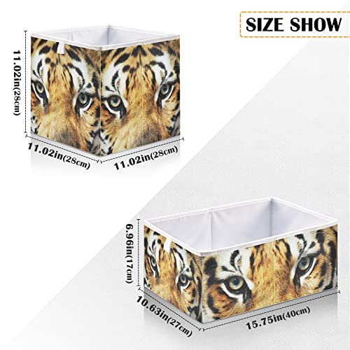 xigua Tiger Cube Storage Bin Large Collapsible Storage Basket Toys Clothes Organizer Box for Shelf Closet Bedroom Home Office, 11 x 11 x 11 Inch