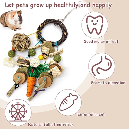 BNOSDM 2 PCS Rabbit Chew Toys for Bunnies Cage Hanging Guinea Pig Chewing Toys Rattan Ring with Snacks Natural Small Animals Teeth Grinding Toy for Hamster Chinchilla Ferret Hedgehog