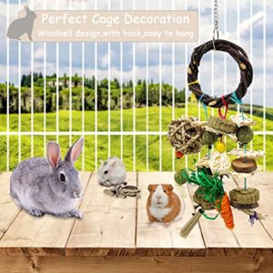 BNOSDM 2 PCS Rabbit Chew Toys for Bunnies Cage Hanging Guinea Pig Chewing Toys Rattan Ring with Snacks Natural Small Animals Teeth Grinding Toy for Hamster Chinchilla Ferret Hedgehog