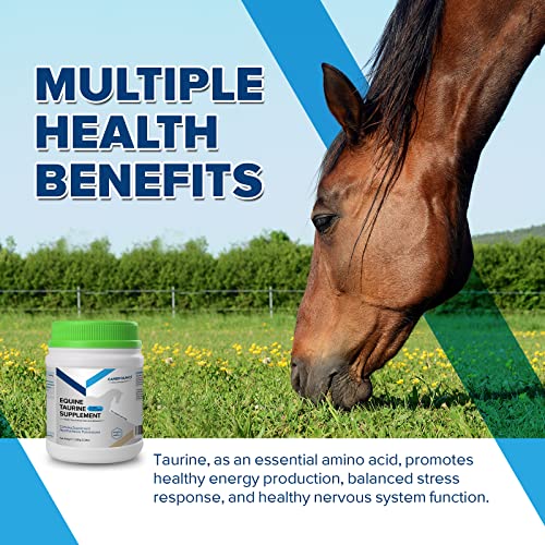 CareFound Taurine Pure Powder Support of Proper Nerve Transmission No Additives for Horse 1000g