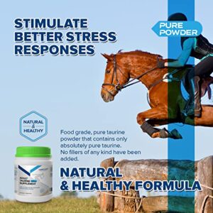 CareFound Taurine Pure Powder Support of Proper Nerve Transmission No Additives for Horse 1000g