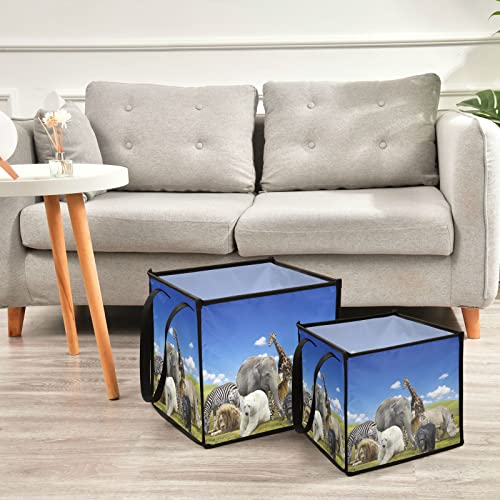 Blueangle Wild Animals Group Cube Storage Bin with Handles, 13 x 13 x 13 in, Large Collapsible Organizer Storage Basket for Home Décor（507）