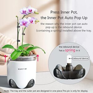 Meshpot 5 inch Orchid Pots with Holes for Repotting,Set of 2,Double Layer Plastic Imitate Ceramic Orchid Planter Provide Good Air Circulation,Clear Orchid Pot Match Decorative Orchid Container