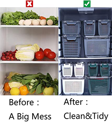 3-pack Vegetable and Fruit Storage Containers for Fridge Organizer Produce Saver Containers for Refrigerator Lettuce Berry Salad Cabbage Keeper BPA-Free Kitchen Organization with Lids and Air Vents (Grey)