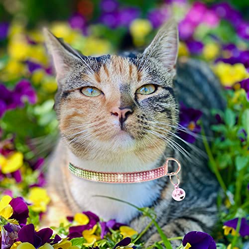 JVVGPET Breakaway Cat Collar with Bells - Rhinestone Bling Cute Cat Collars for Girl Boy Cats - Accessories for Pet Collars Adjustable for Cat Puppy