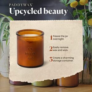 Paddywax Firefly Candle Co. En Plein Air Scented Candles with Soy Wax Blend and Reusable Glass Jar for Home Fragrance and Aromatherapy Ideal for Gifting - 10 Ounce, Amber Woods