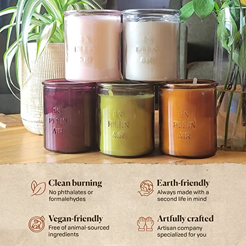 Paddywax Firefly Candle Co. En Plein Air Scented Candles with Soy Wax Blend and Reusable Glass Jar for Home Fragrance and Aromatherapy Ideal for Gifting - 10 Ounce, Amber Woods