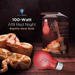 Bluex Bulbs 4 Pack A19 40W Red Night Reptile Heat Bulb - Night Basking Light E26 - Terrarium Heat Source for Lizards Turtles Snakes & Bearded Dragons Promotes Appetite Metabolism & Natural Behavior