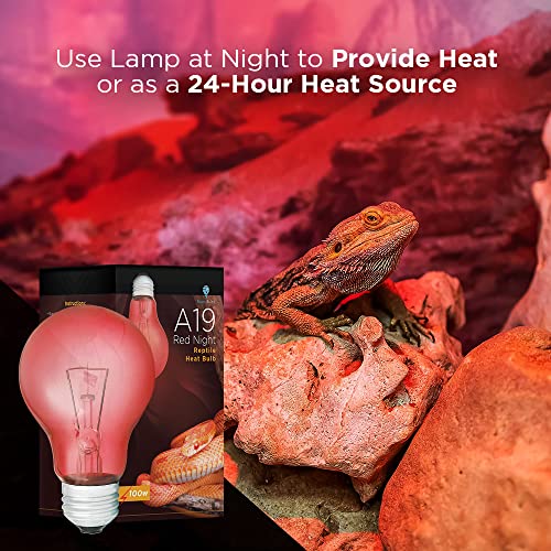 Bluex Bulbs 4 Pack A19 40W Red Night Reptile Heat Bulb - Night Basking Light E26 - Terrarium Heat Source for Lizards Turtles Snakes & Bearded Dragons Promotes Appetite Metabolism & Natural Behavior