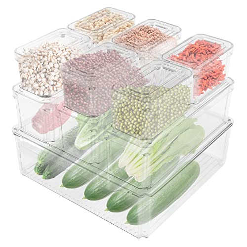 Modern-Depo 10 PCS Refrigerator Organizer Bins Food Containers with Various Size Storage Bins for Fridge, Countertop, Cabinets & Pantry