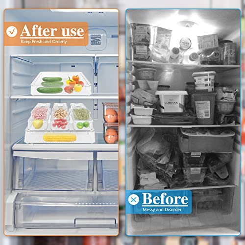 Modern-Depo 10 PCS Refrigerator Organizer Bins Food Containers with Various Size Storage Bins for Fridge, Countertop, Cabinets & Pantry