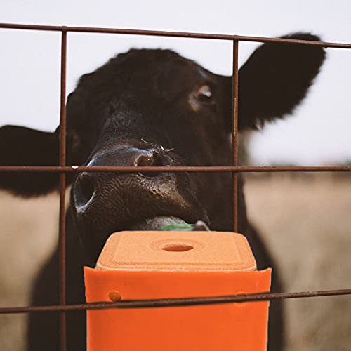 POPETPOP Cattle Salt Block Feeder, Livestock Salt Block Box Mineral Salt Block Holder Supplement Feeder for Horses, Goats, Sheep