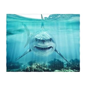 white shark super soft throw blanket warm & soft lightweight blanket throw size 60"x80" for all seasons