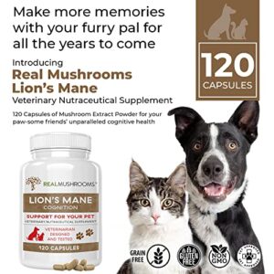 Real Mushrooms Lions Mane for Humans (300ct) and Pets (120ct) - Bundle for Cognition & Immunity - Vegan, Non-GMO, Gluten-Free, Grain-Free Mushroom Extract Supplements