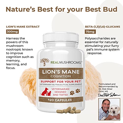 Real Mushrooms Lions Mane for Humans (300ct) and Pets (120ct) - Bundle for Cognition & Immunity - Vegan, Non-GMO, Gluten-Free, Grain-Free Mushroom Extract Supplements