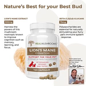 Real Mushrooms Lions Mane for Humans (120ct) and Pets (120ct) - Bundle for Cognition & Immunity - Vegan, Non-GMO, Gluten-Free, Grain-Free Mushroom Extract Supplements