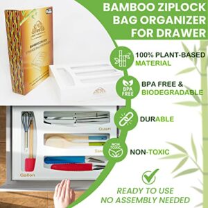 Bamboo Ziplock Bag Organizer for Drawer- Water Resistance Kitchen Organizer with 4 Slots, Effective Storage Bag Organizer with Removable Top- Suitable for Quart, Gallon & Snacks Zip Lock Bag- White