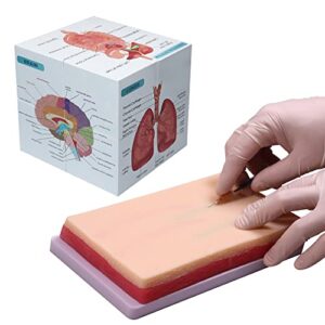 aliwovo venipuncture practice kit human anatomy study cube