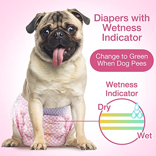 Flying Paws Disposable Female Dog Diapers, Puppy Diapers with Adjustable Elastic Waistline for Female Dog or Cat in Heat, Incontinence，Diaper with Wetness Indicator.… (XXS-10 Count)